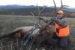 Elk Hunts - Silver Spur Outfitters