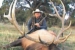Elk Hunts - Silver Spur Outfitters